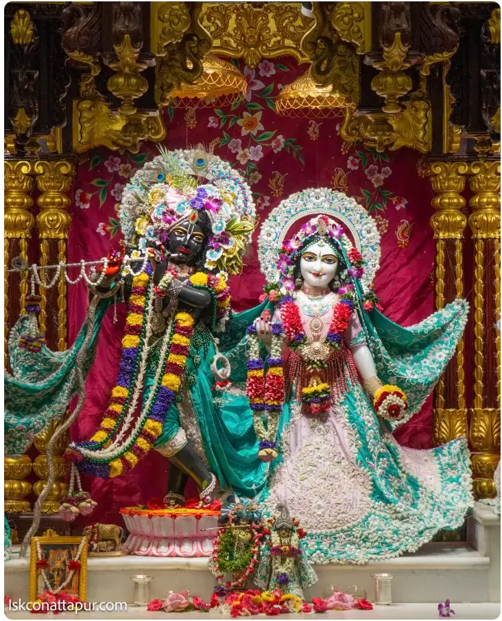 Tulsi Aarti - Complete ISKCON Tulasi Prayers | Pranama, Aarti ...